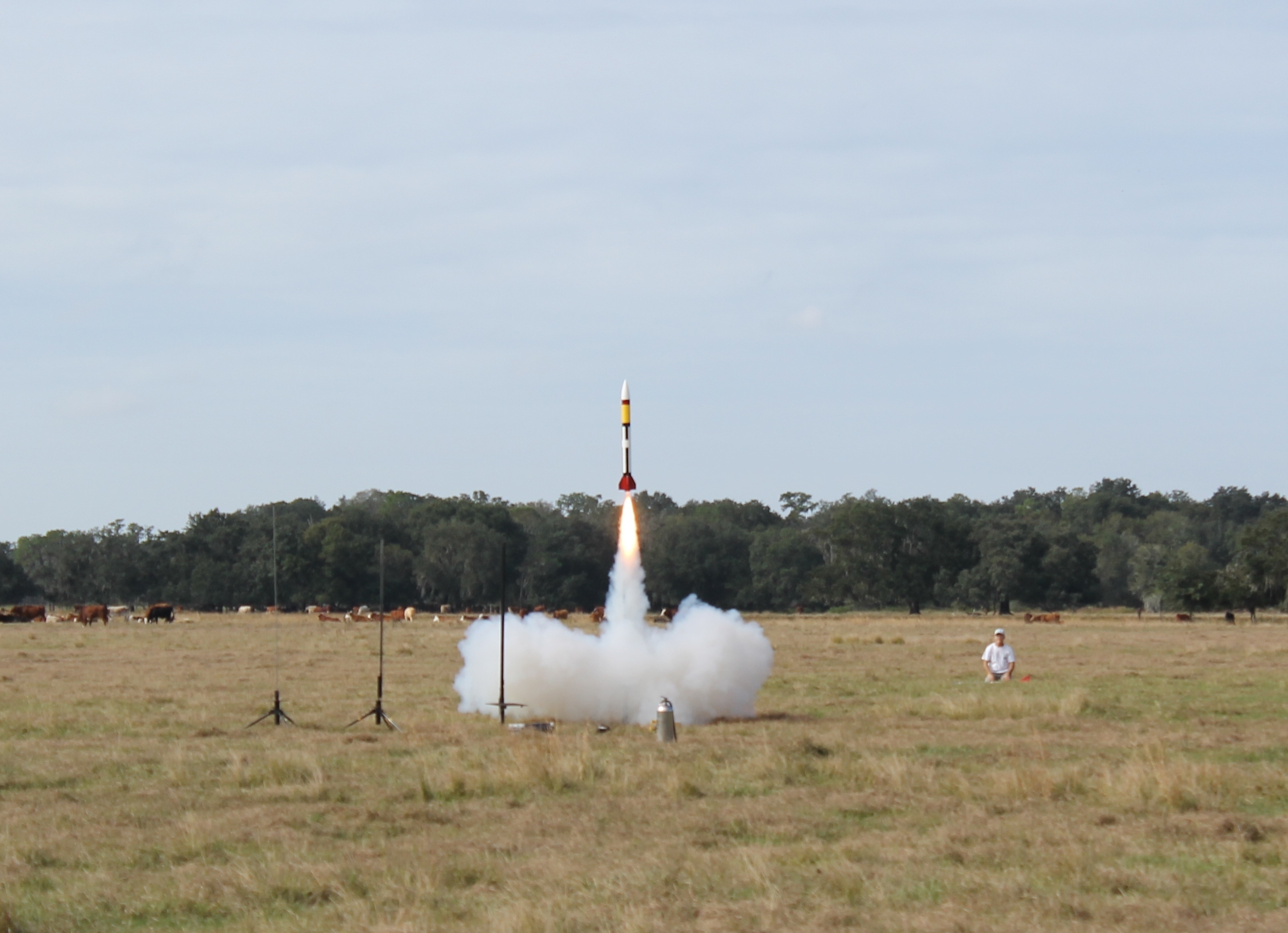 Madcow Rocketry - Patriot (4.0)