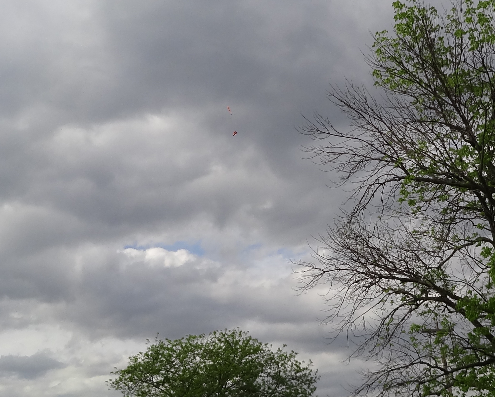 Estes - Astron Sprite