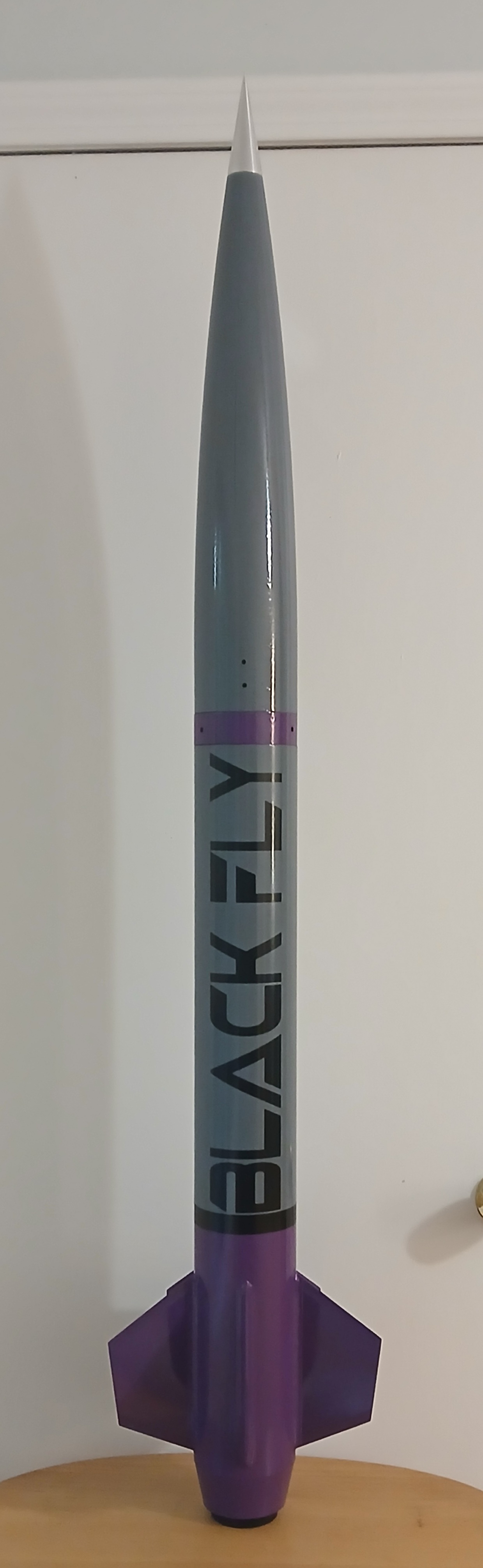 Display Image - Gary Tortora's Black Fly