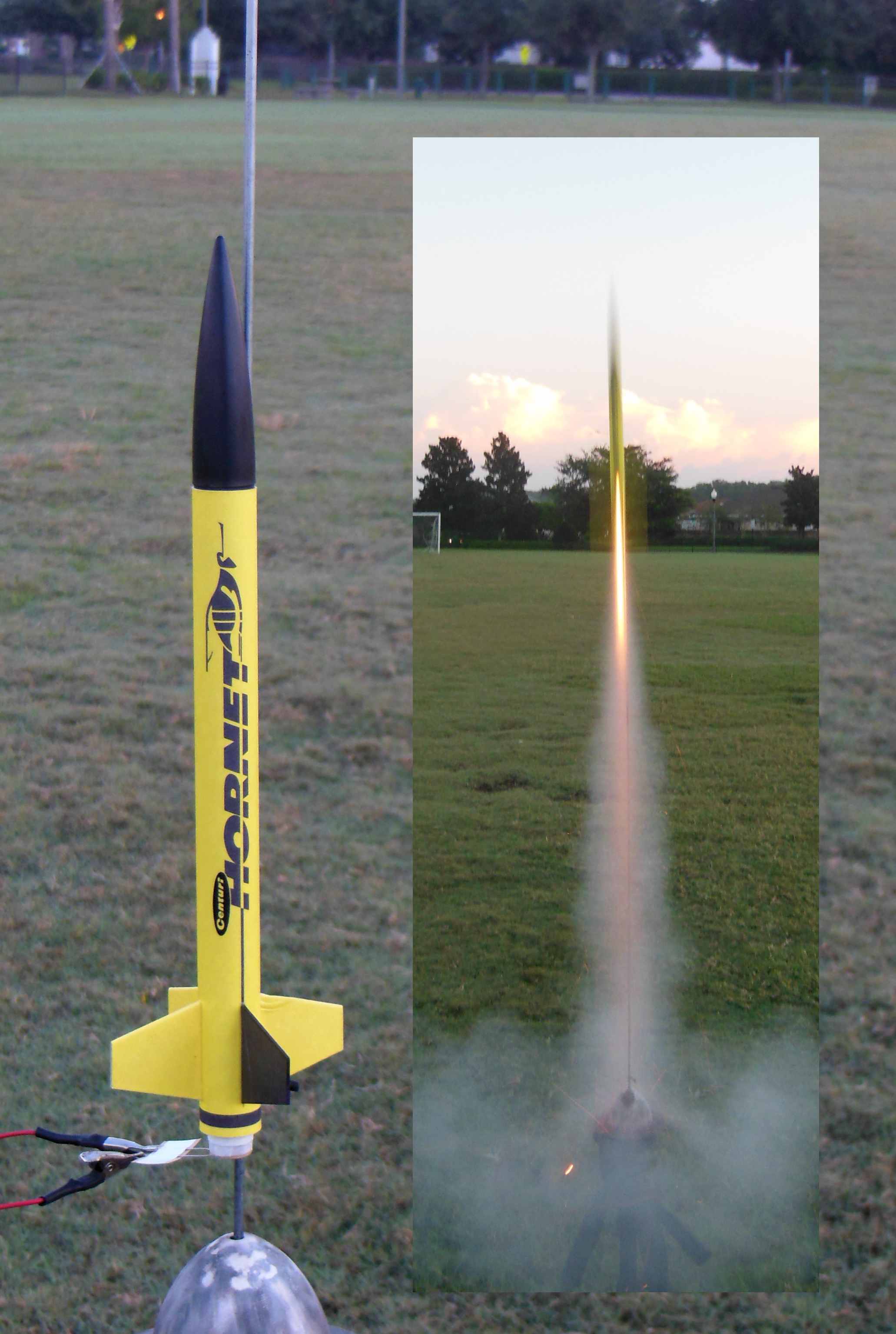 Centuri - Magnum D Hornet