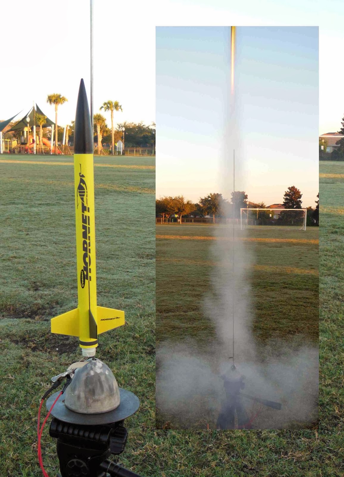 Centuri - Magnum D Hornet