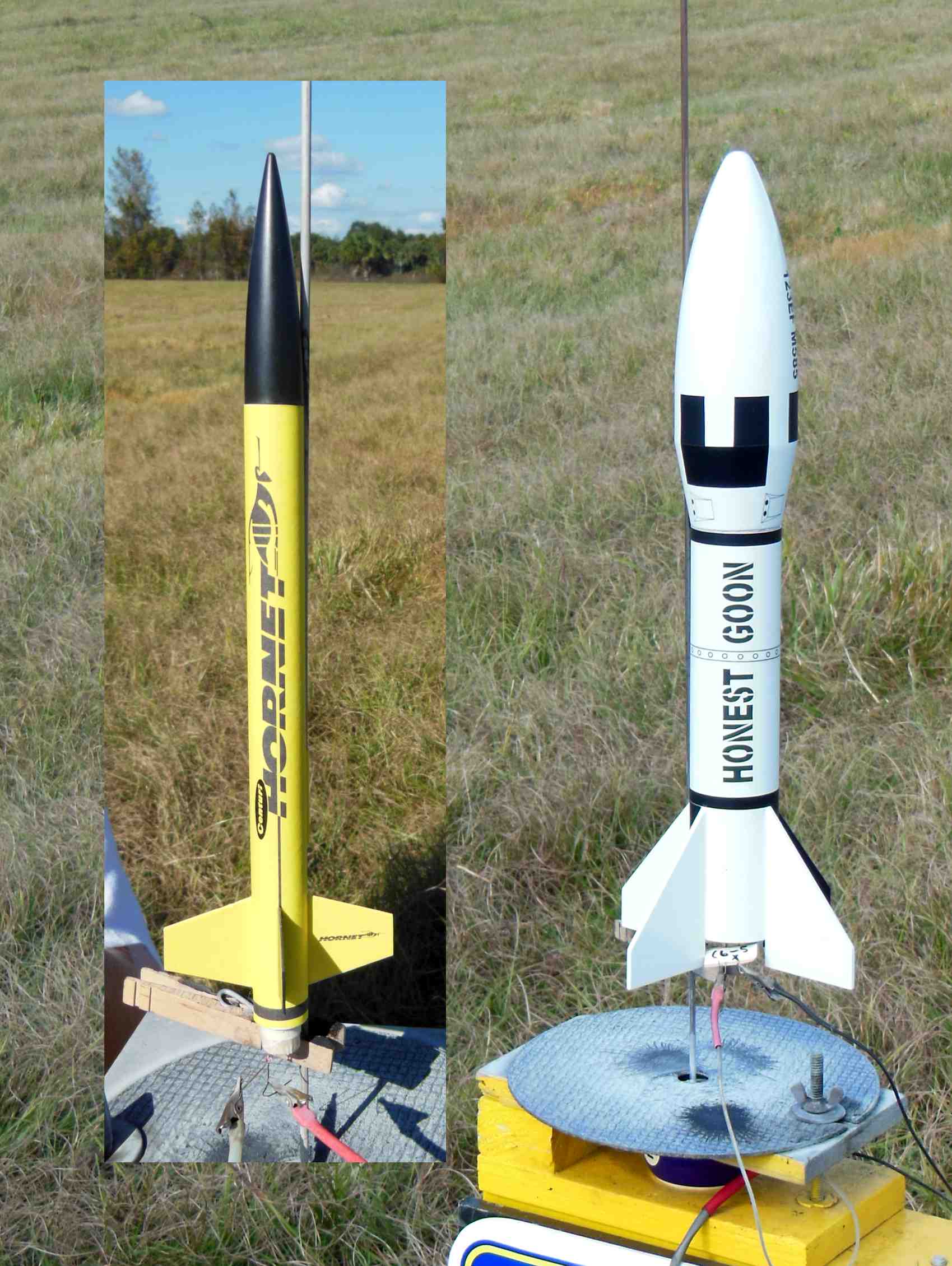 Centuri - Magnum D Hornet