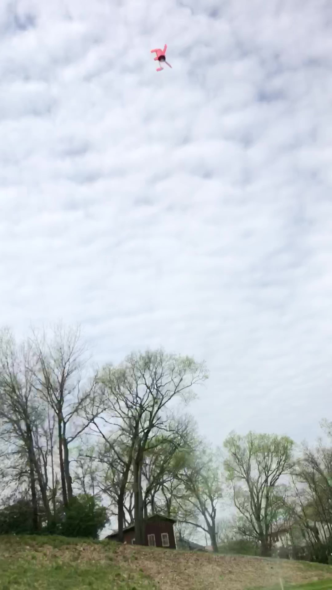 Estes - Cloud Hopper